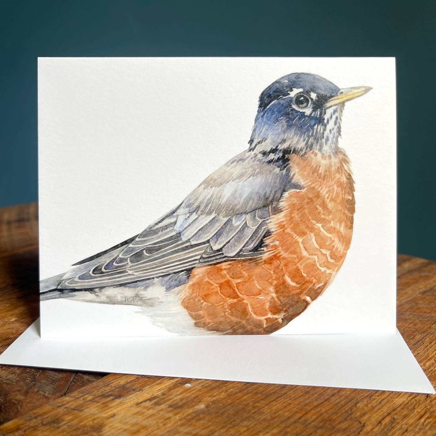 Wholesale American Robin - Blank Note Card for your store - Faire