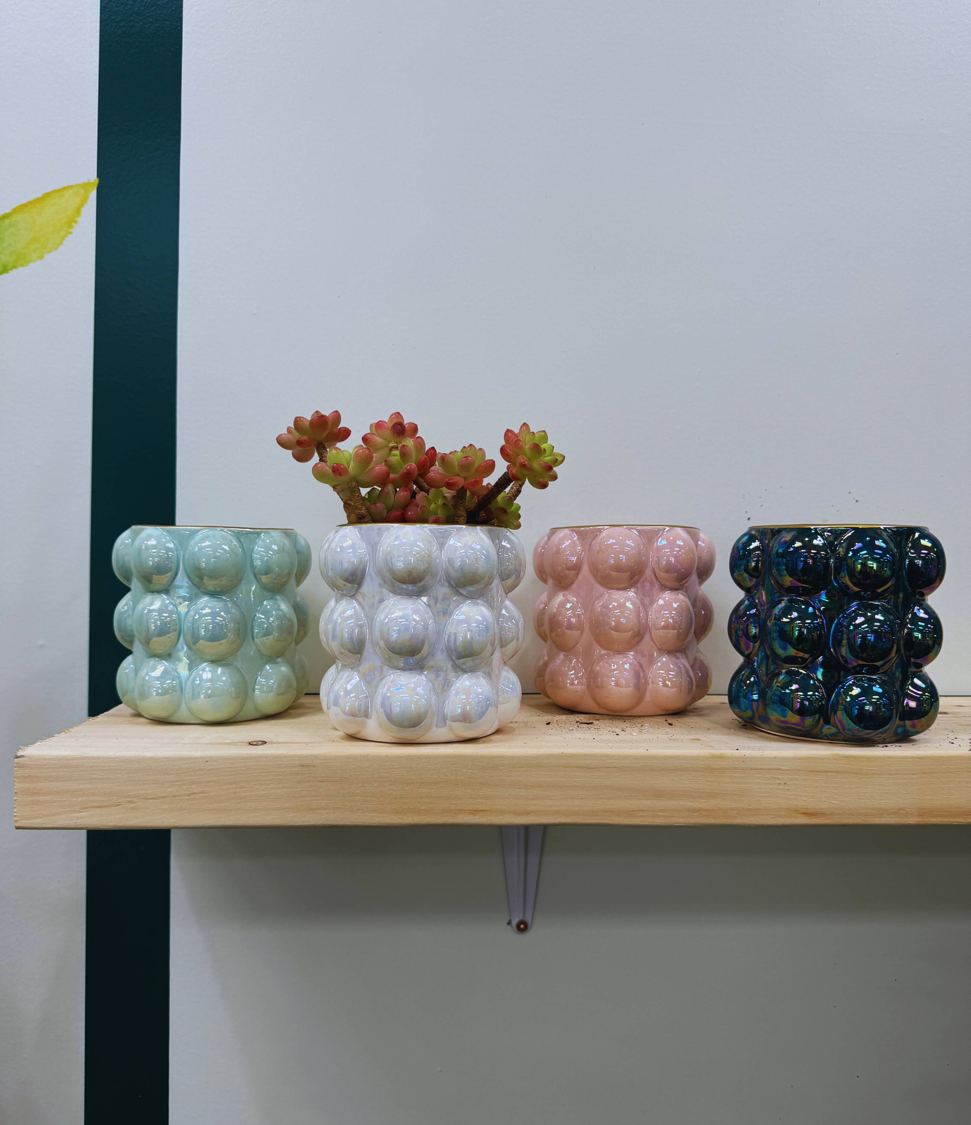 Springer Décor wholesale products