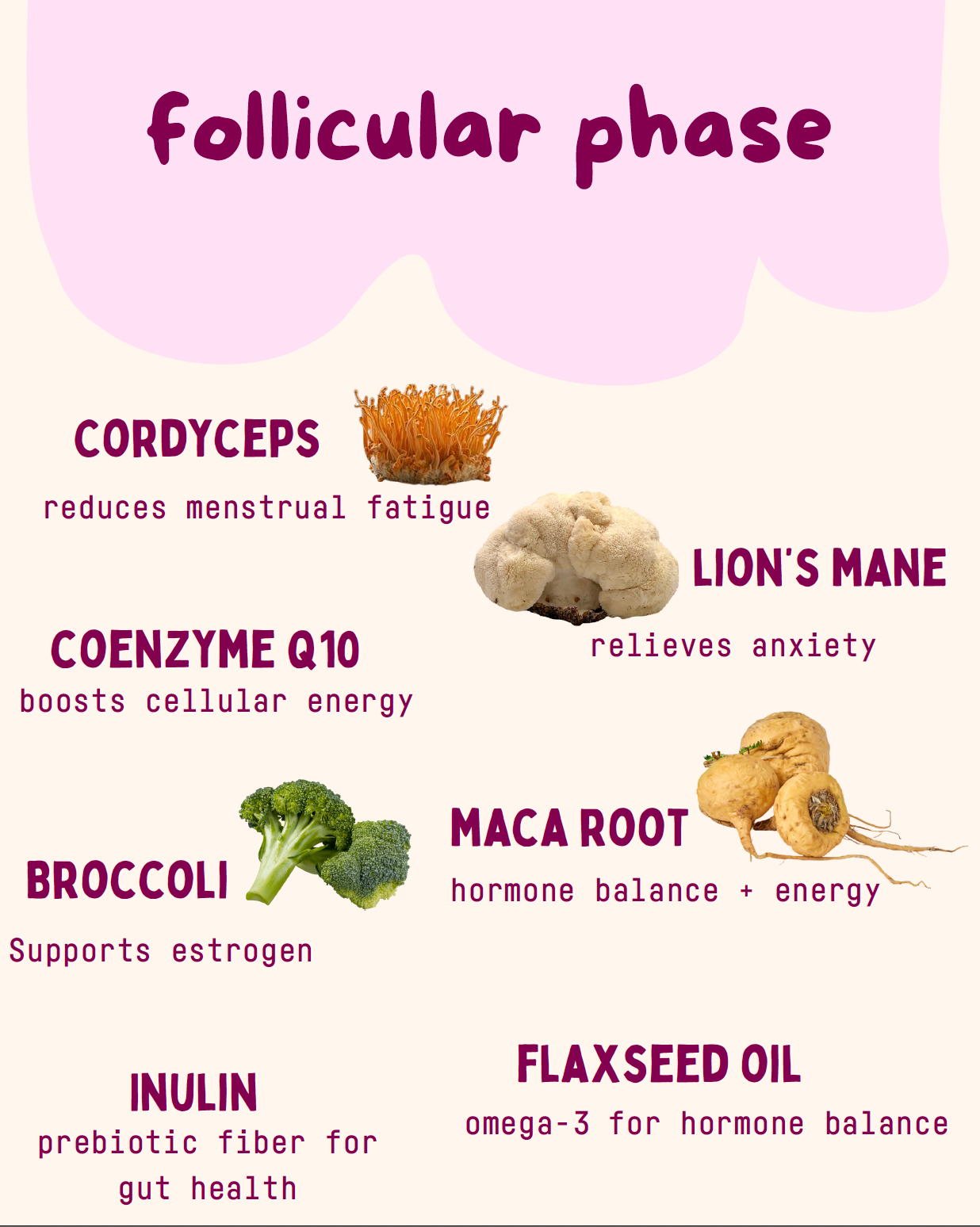 Wholesale Follicular Phase Replacement Bags for your store - Faire