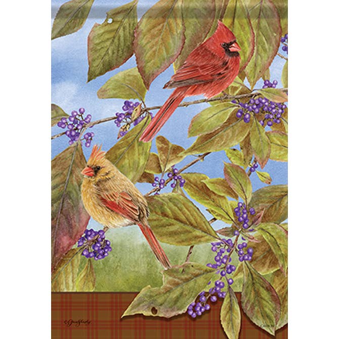 FlagTrends by Carson wholesale products