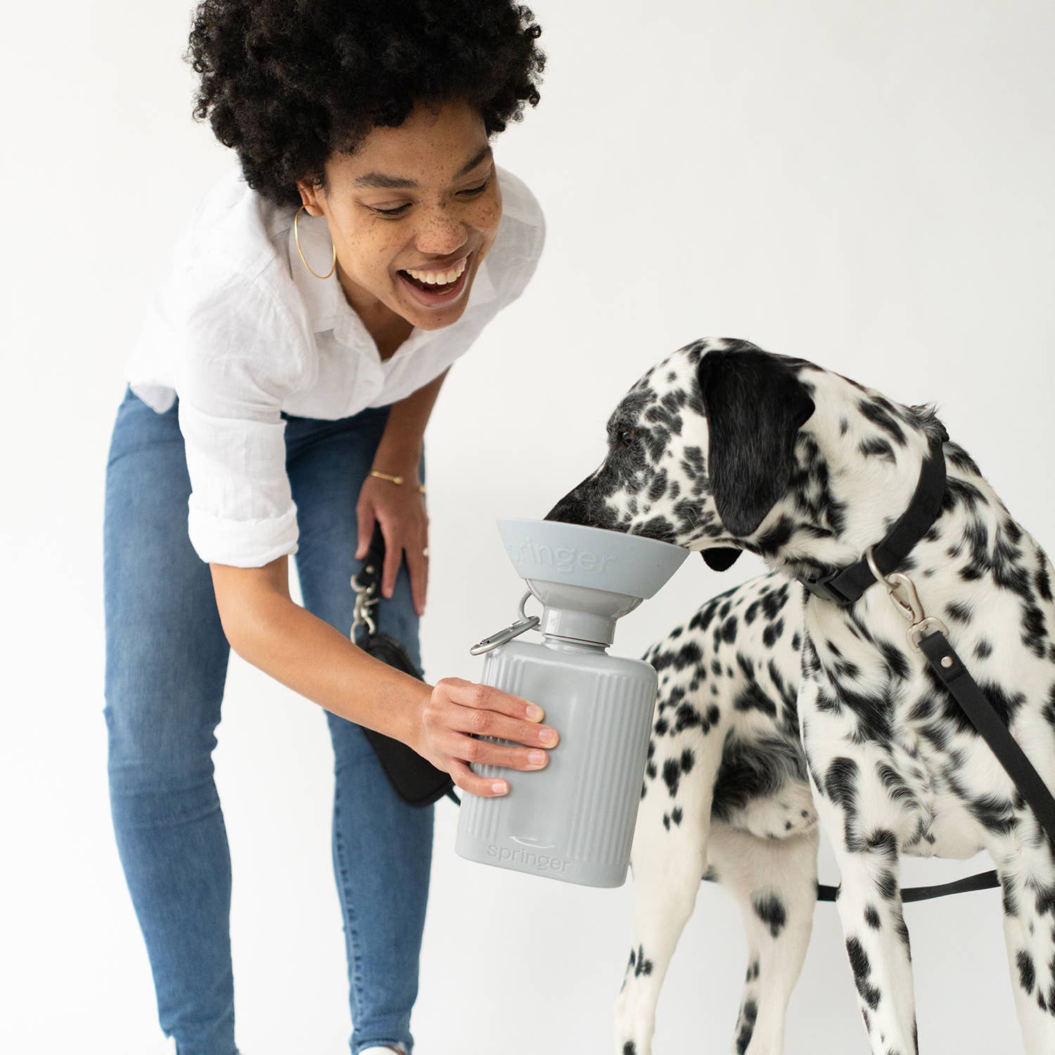 Springer Pets wholesale products