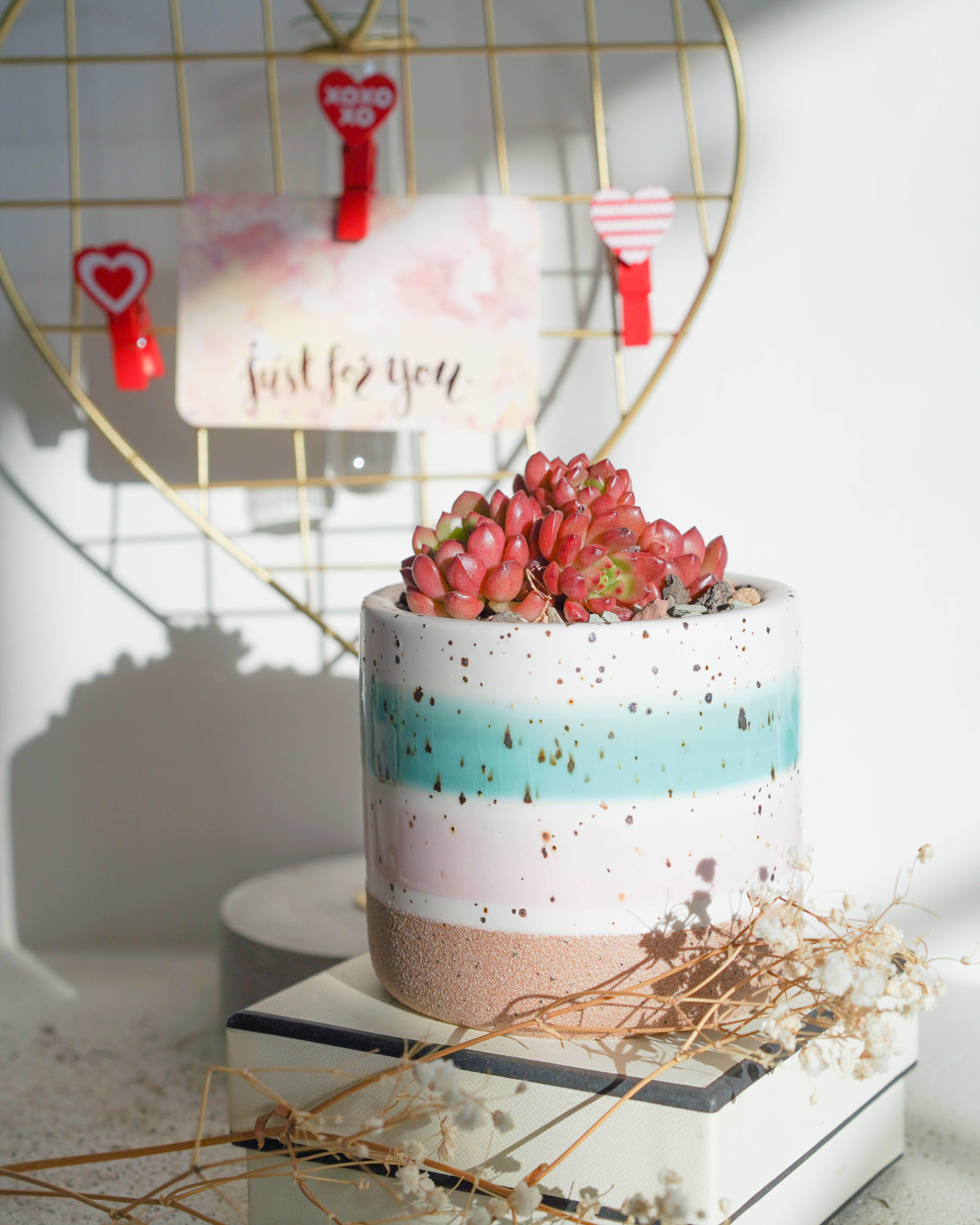 Springer Décor wholesale products