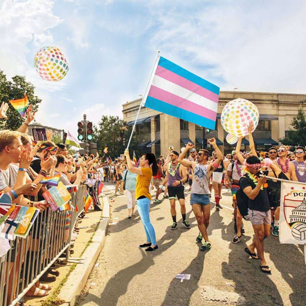 Wholesale Transgender Flag 3x5ft Poly for your store - Faire