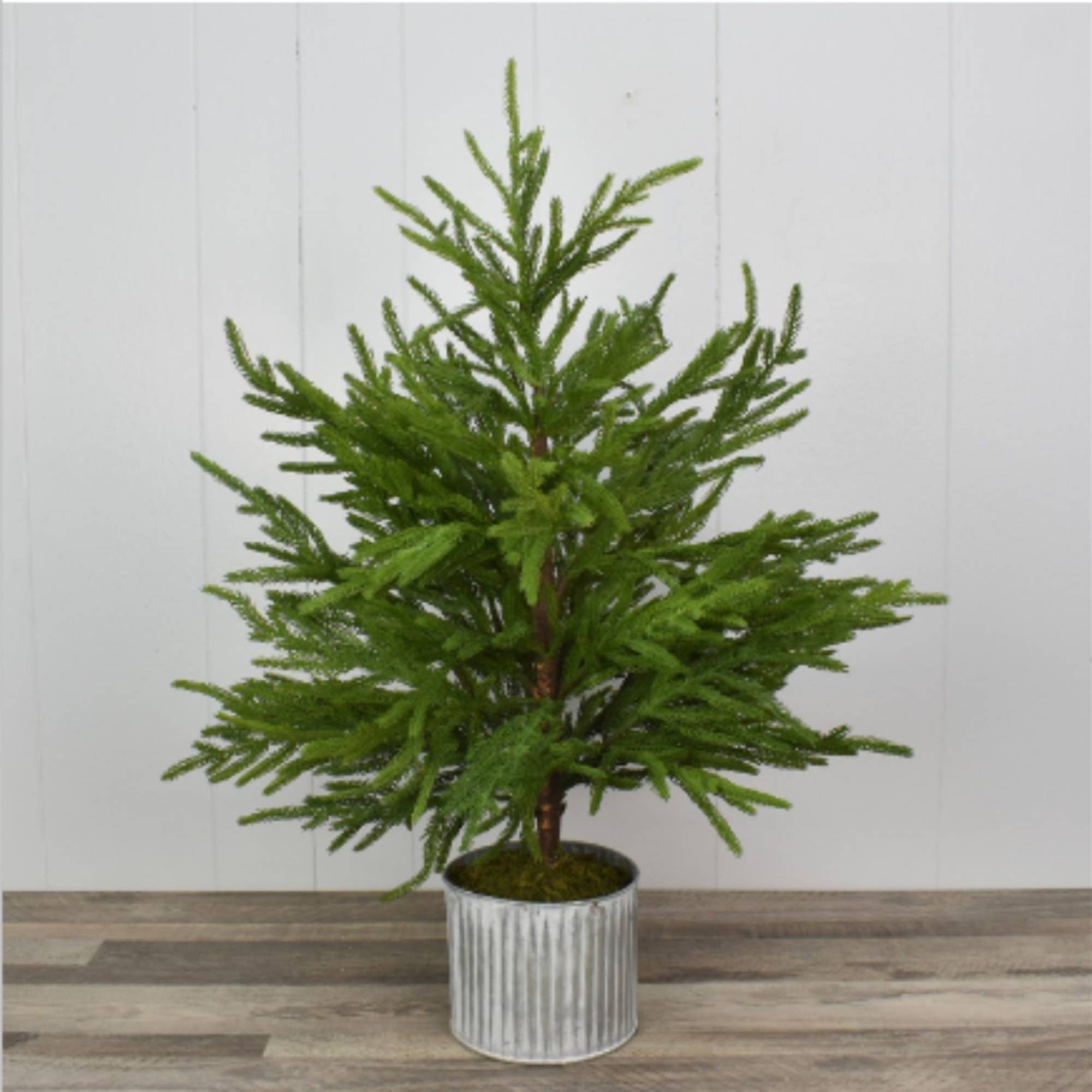 Wholesale christmas tree for your store