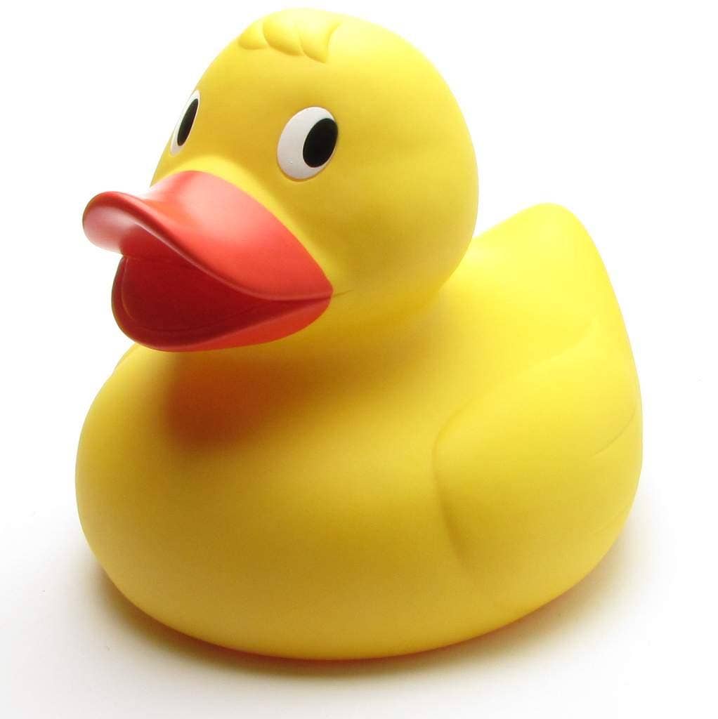 Duckshop wholesale products