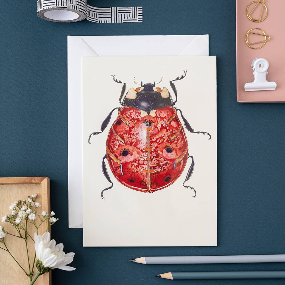 The DM Collection wholesale products