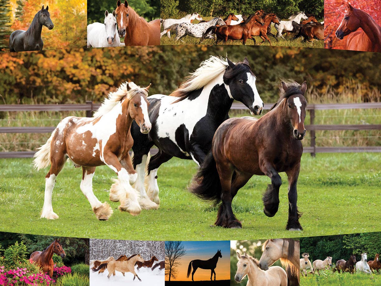 Wholesale Giddy Up! for your store - Faire