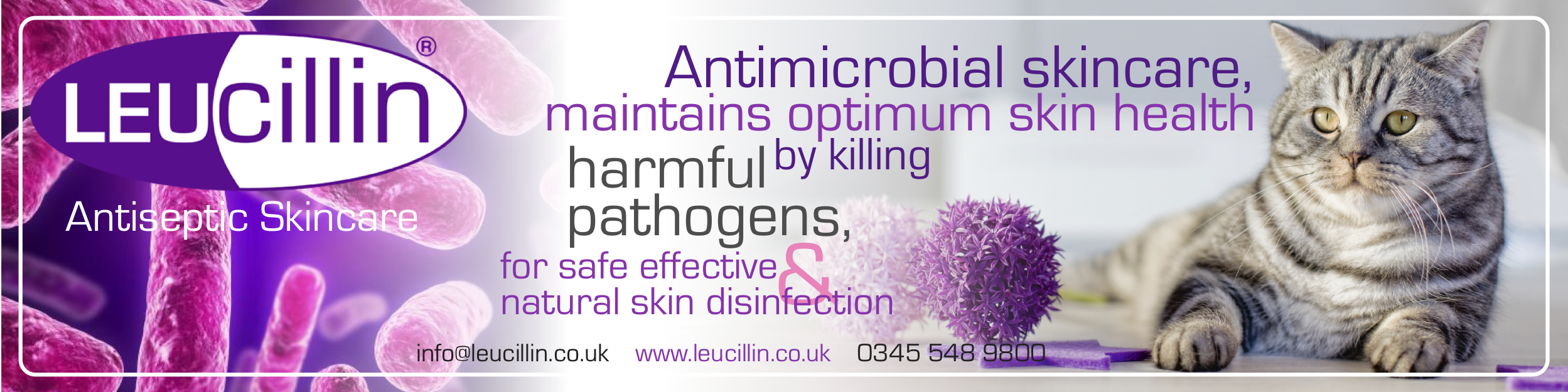 Leucillin Wholesale Products | Buy with Free Returns on Faire.com