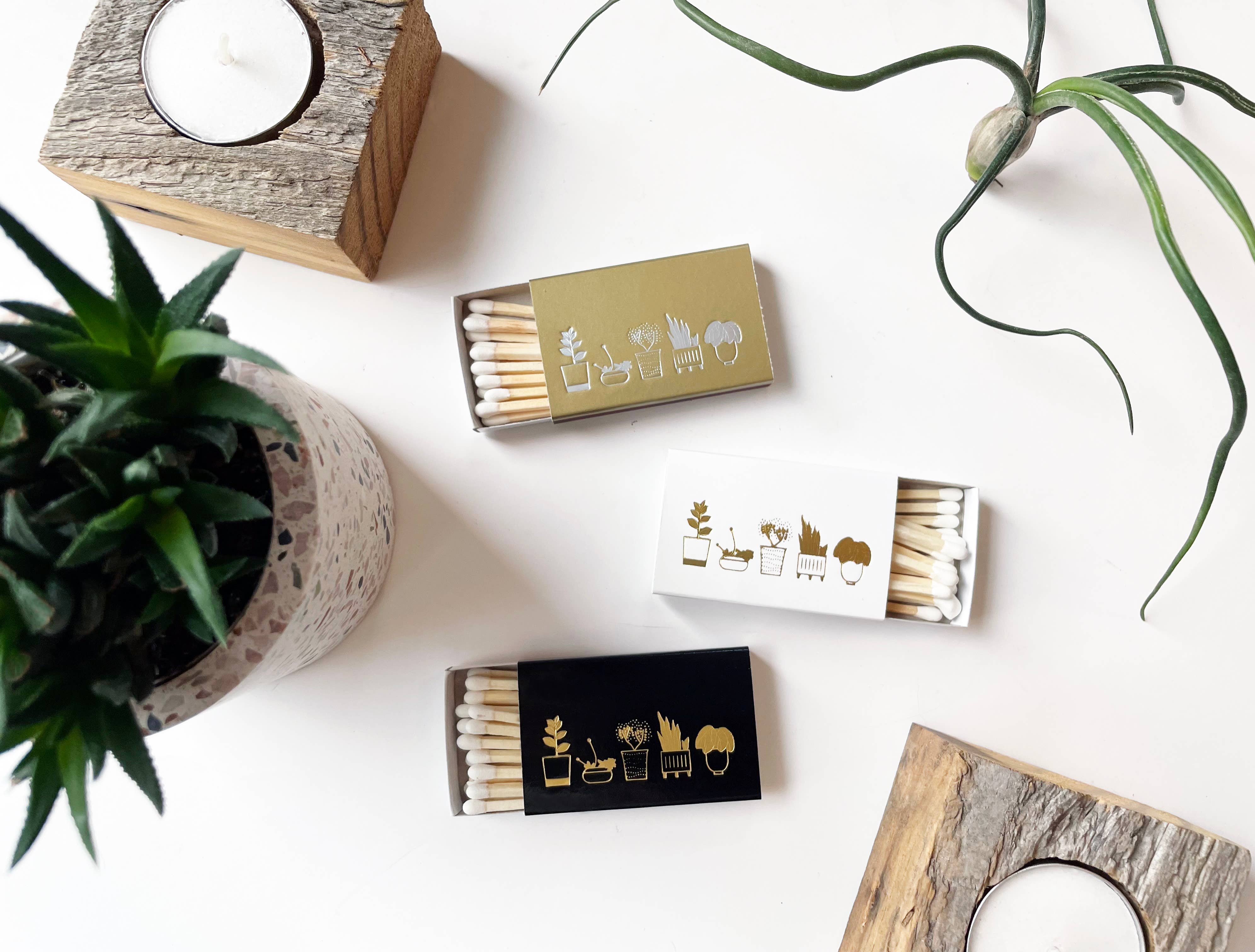 Wholesale Potted Plants Matchbox for your store - Faire