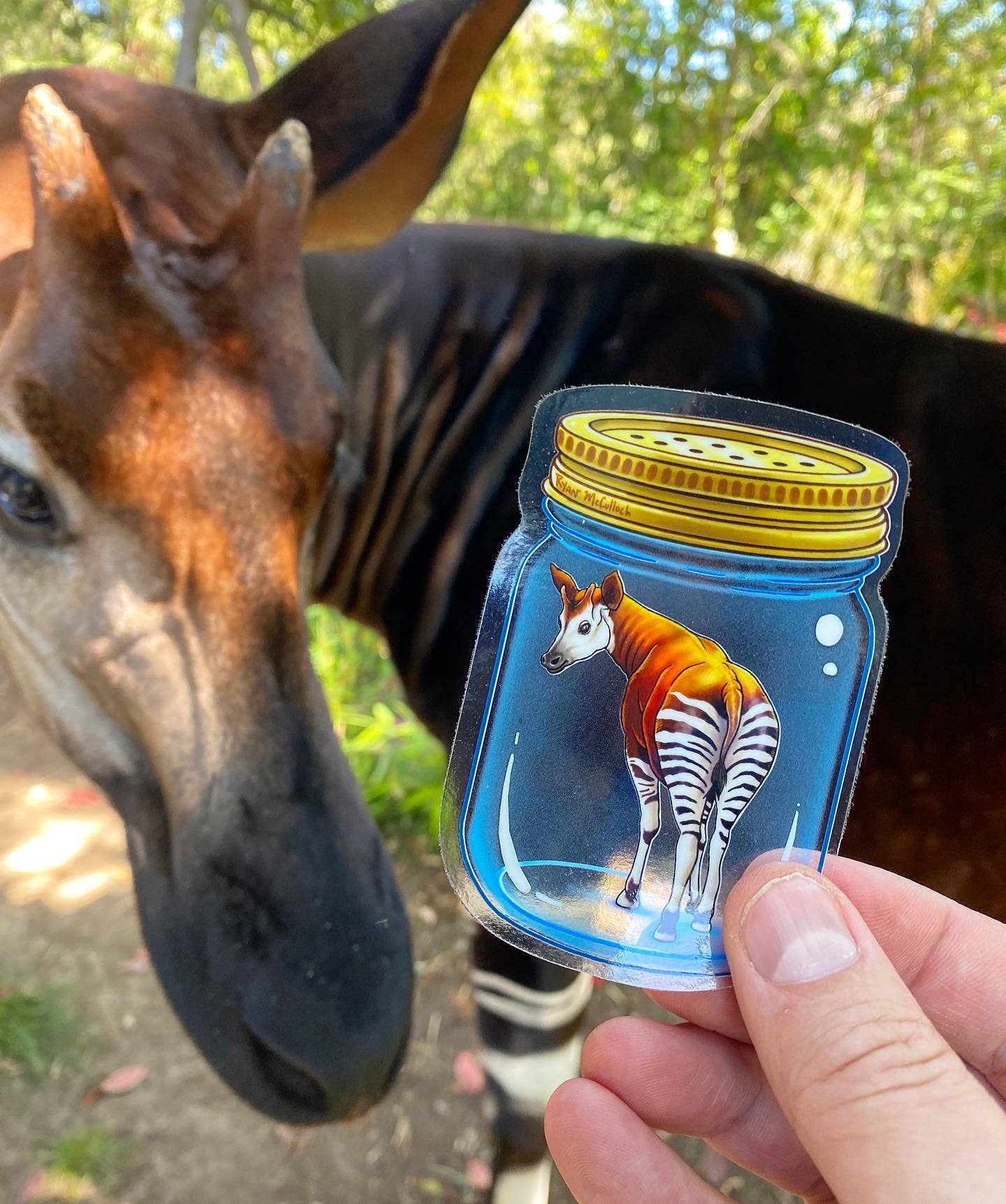 Ryan McCulloch Art wholesale products