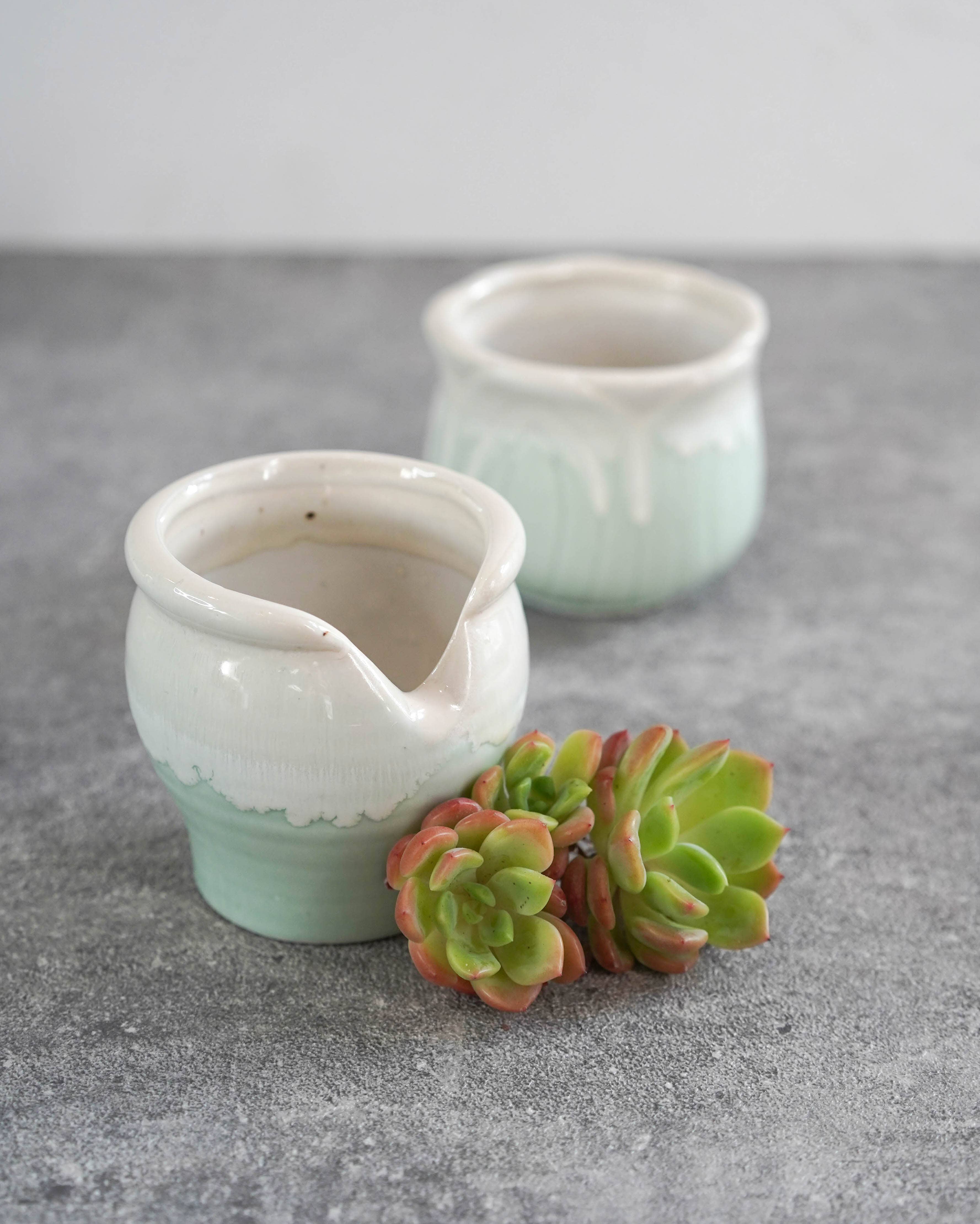 Springer Décor wholesale products