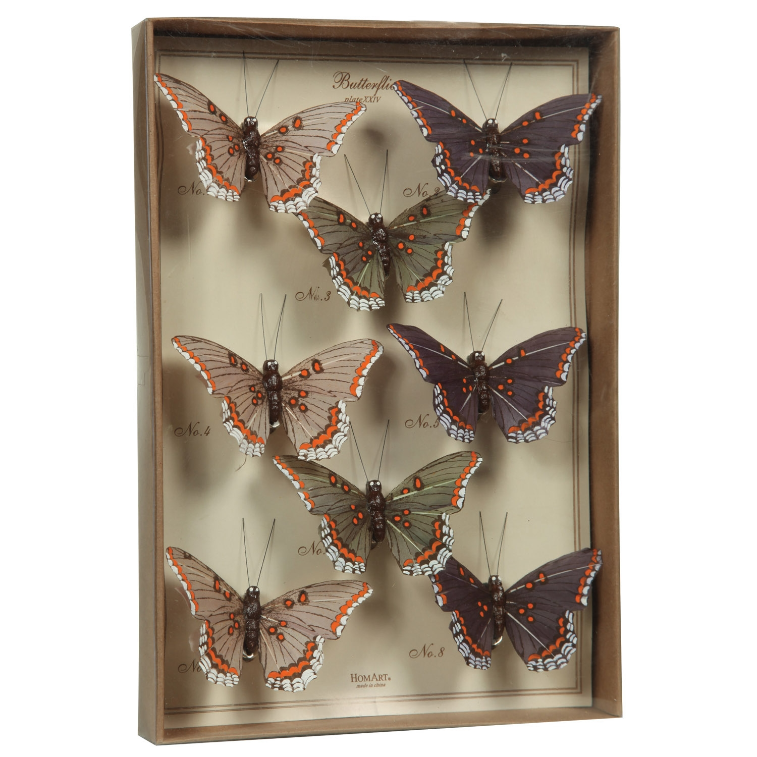 Purchase Wholesale butterfly taxidermy. Free Returns & Net 60 Terms on ...