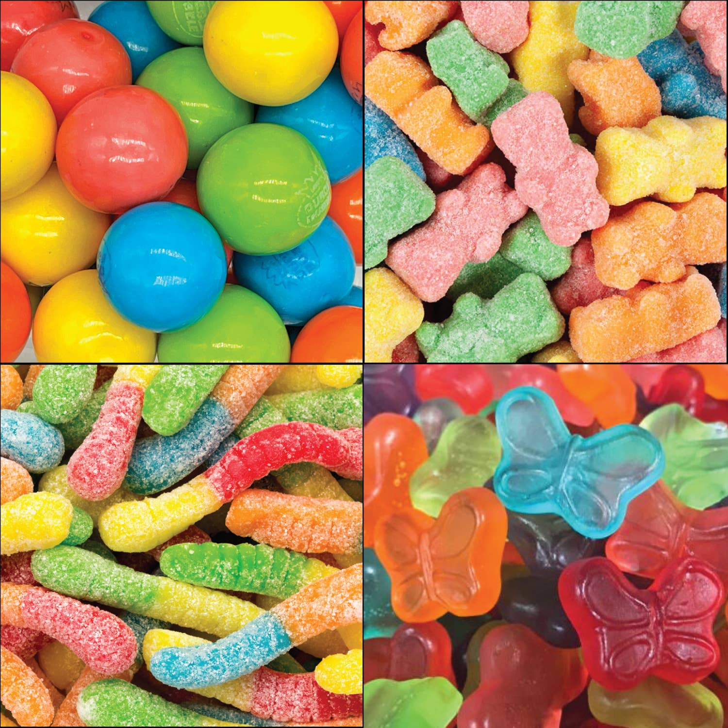 Wholesale Candy Jars - Summer Asst #2 - Quart for your store - Faire