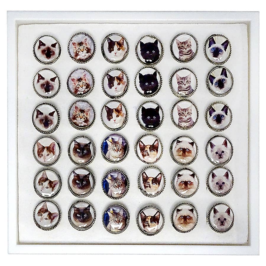 Wholesale cat ring for your store