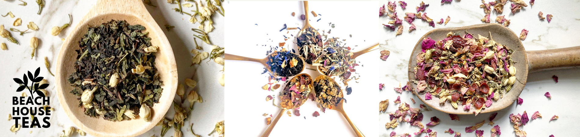 Beach House Teas Wholesale Products | Buy with Free Returns on Faire.com