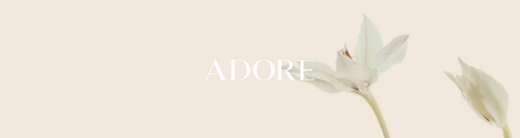 ADORE Wholesale Products | Buy with Free Returns on Faire.com