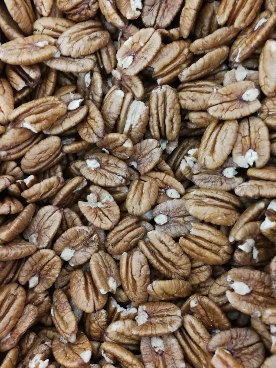 Wholesale Shelled Pecan Halves - 1 Pound for your store - Faire