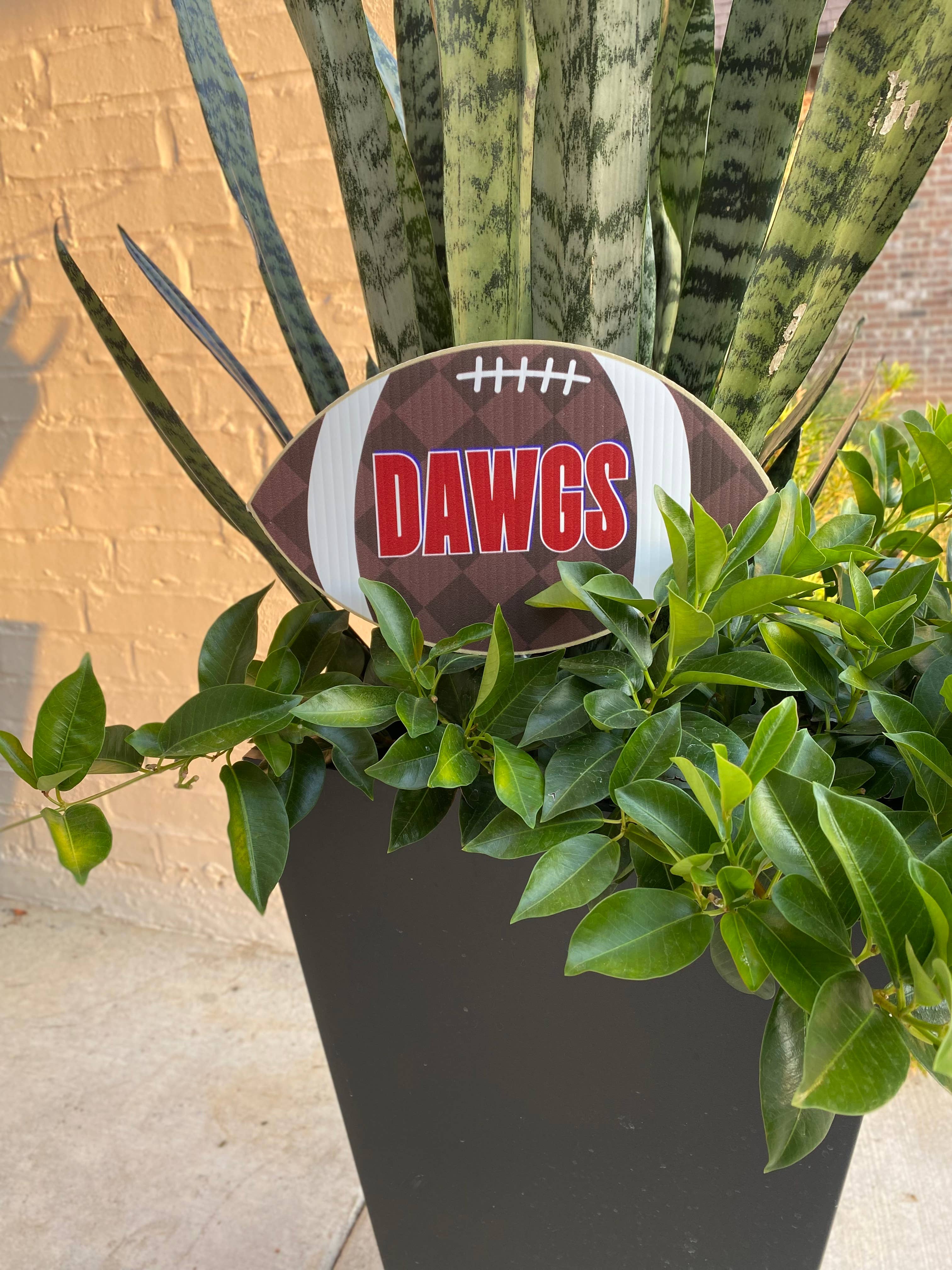 Lovely Reese wholesale products