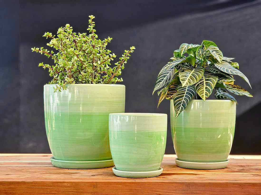 Pacific Home & Garden wholesale products