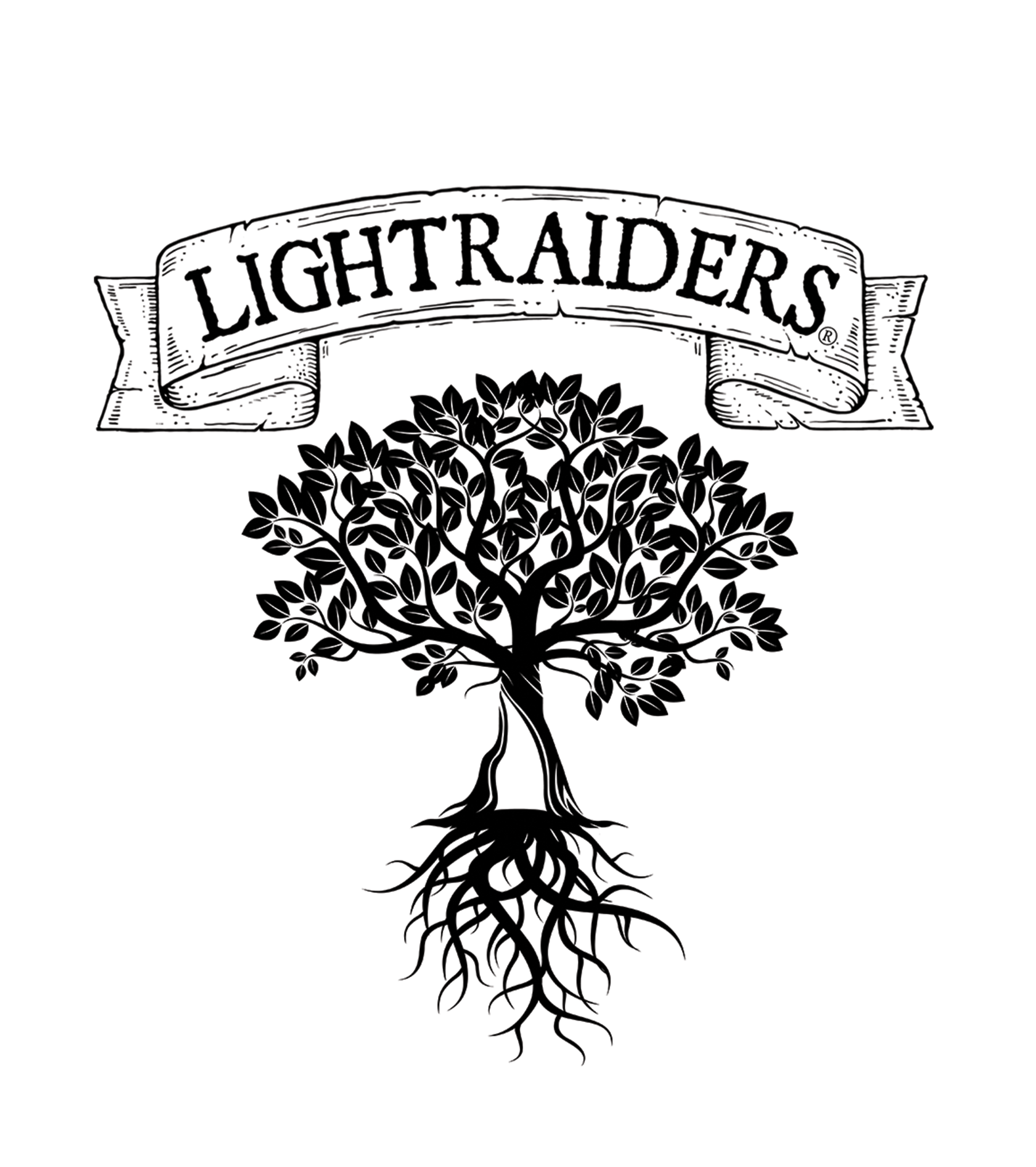 Lightraiders wholesale products