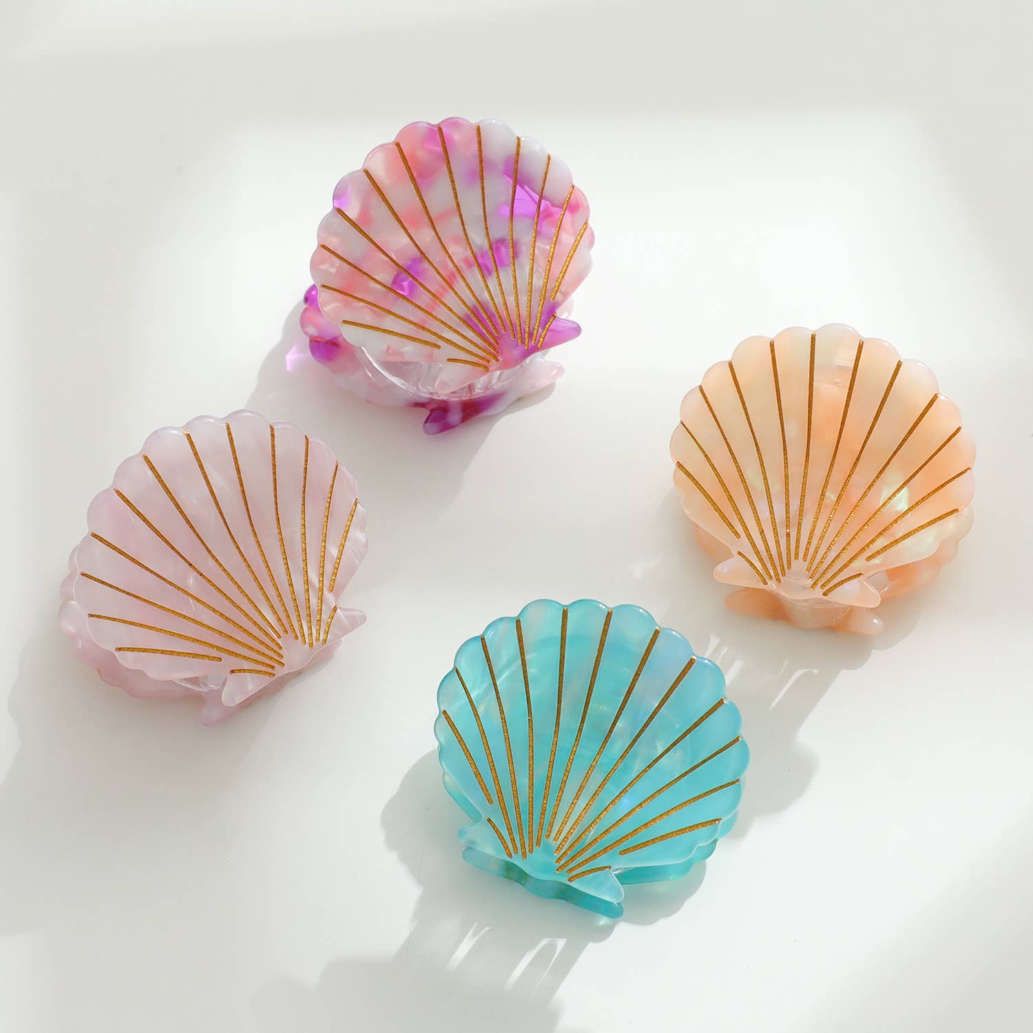 Wholesale sea shells for your store