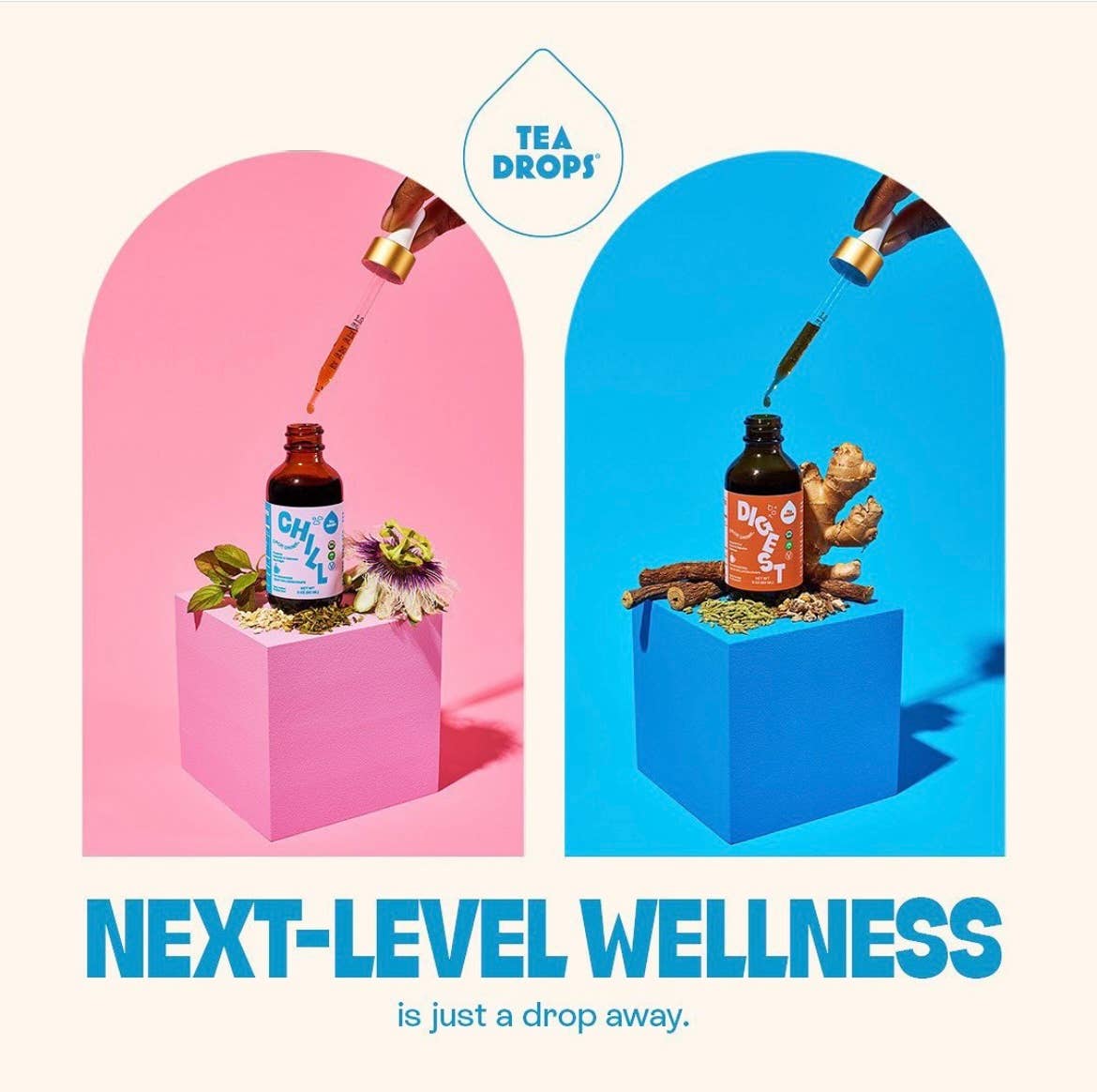 Wholesale Wellness Drops - Case of 6 for your store - Faire