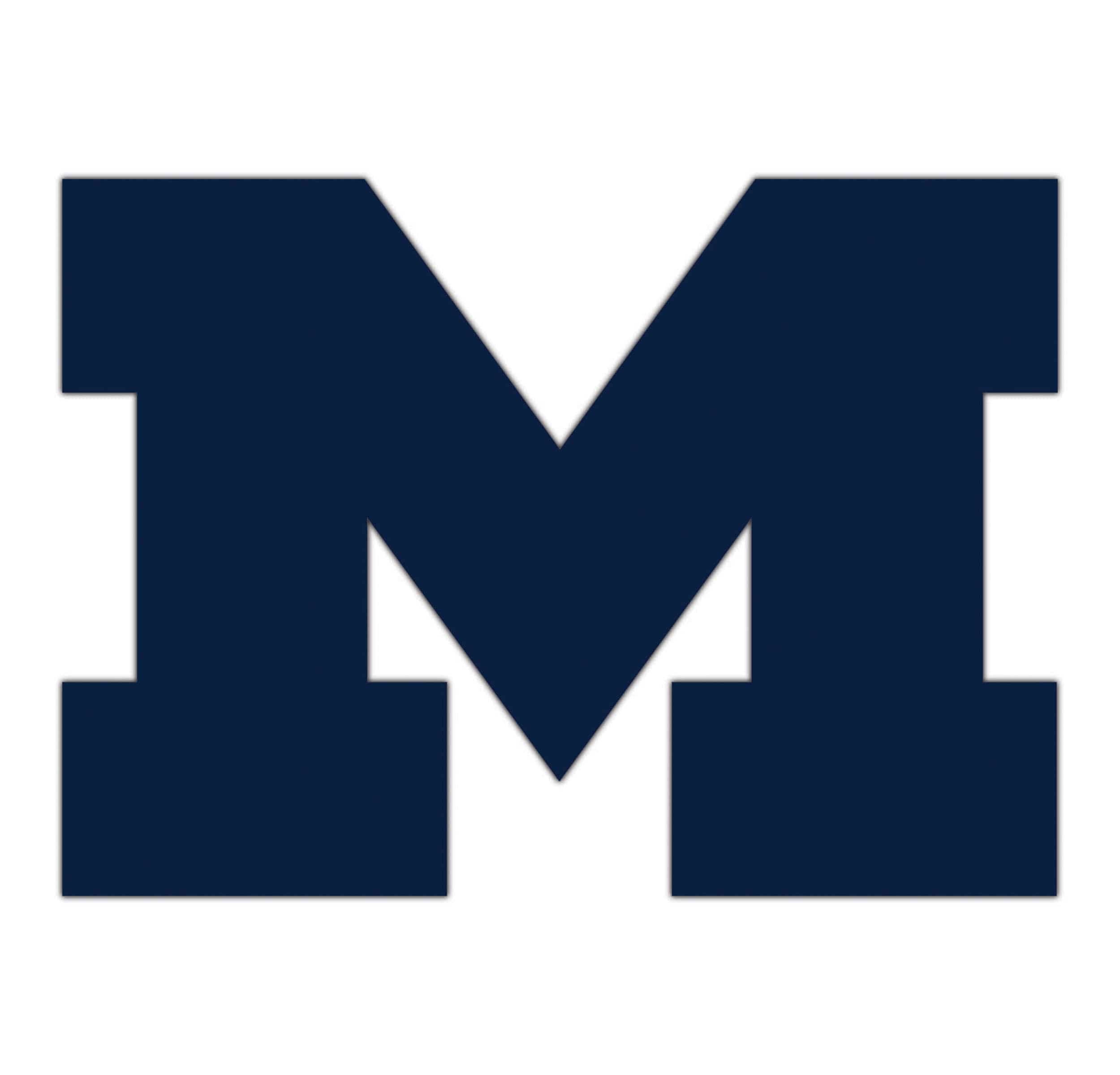 Wholesale 24" NCAA University of Michigan Logo Cutout for your store ...