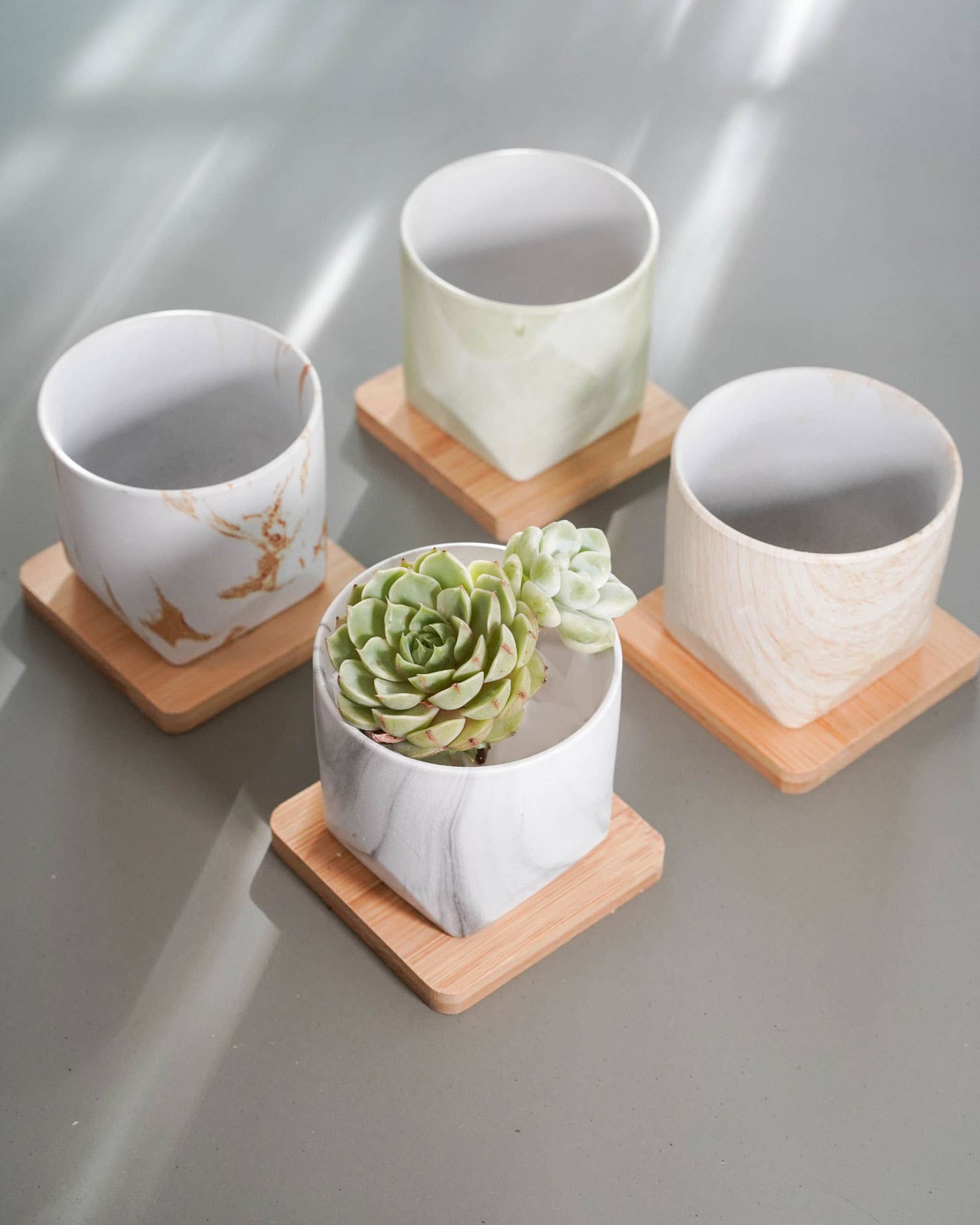 Springer Décor wholesale products