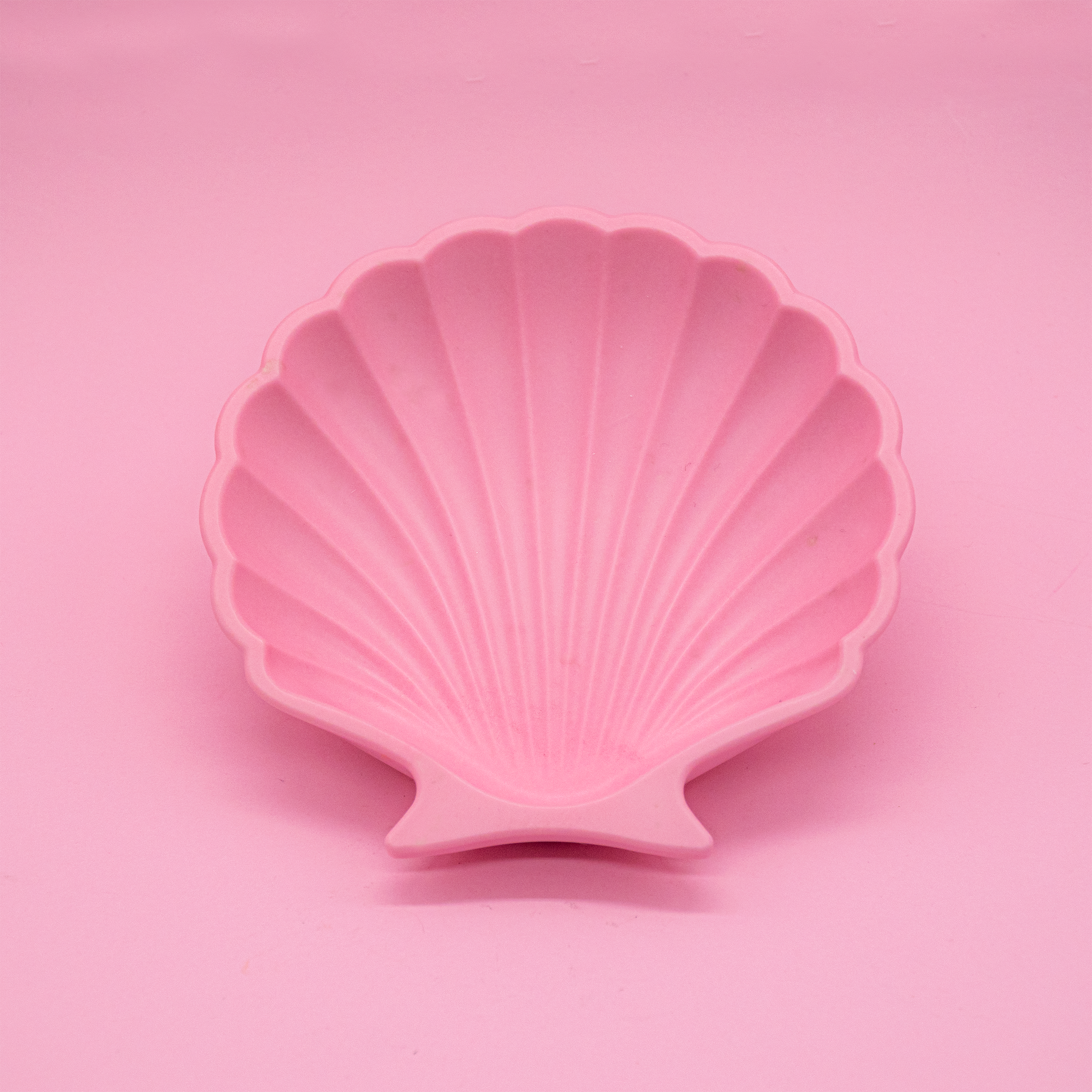 Wholesale shell dish for your store