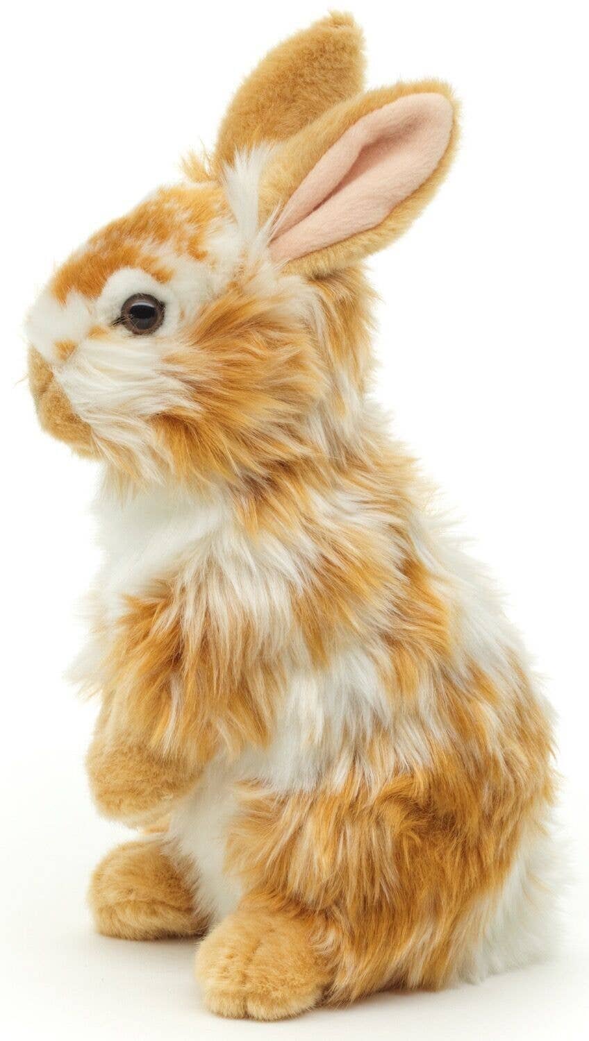 Wholesale Lionhead rabbit, stand up. (gold) - cuddly/plush toy for your ...