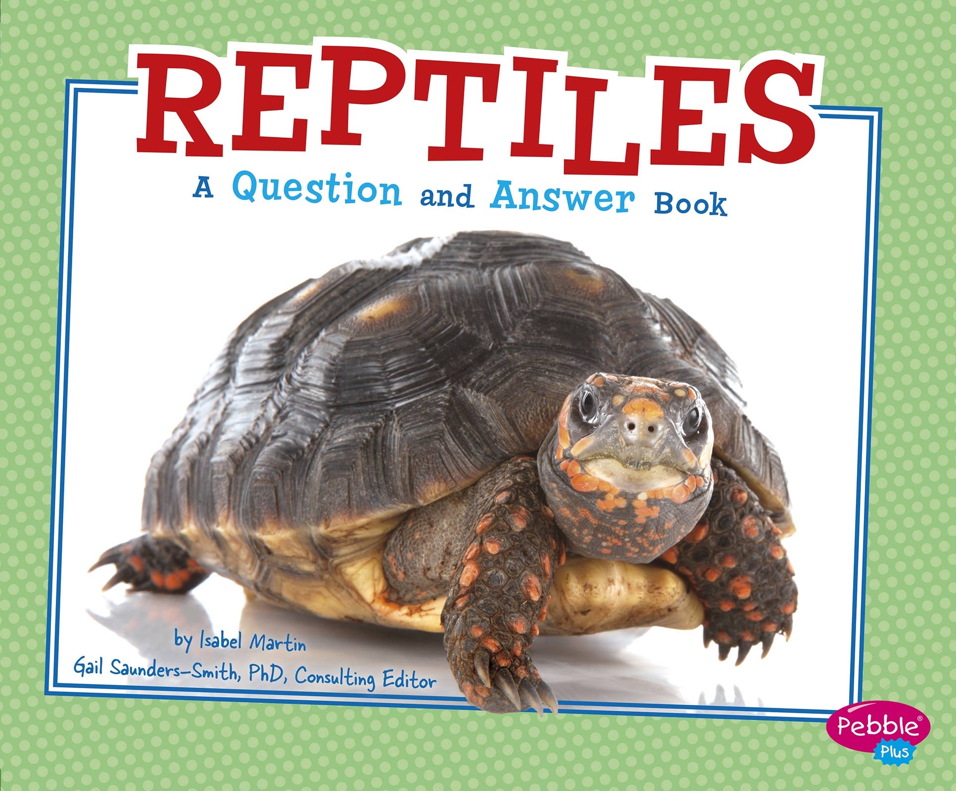 Wholesale Reptiles - Informative Kids' Book for your store - Faire