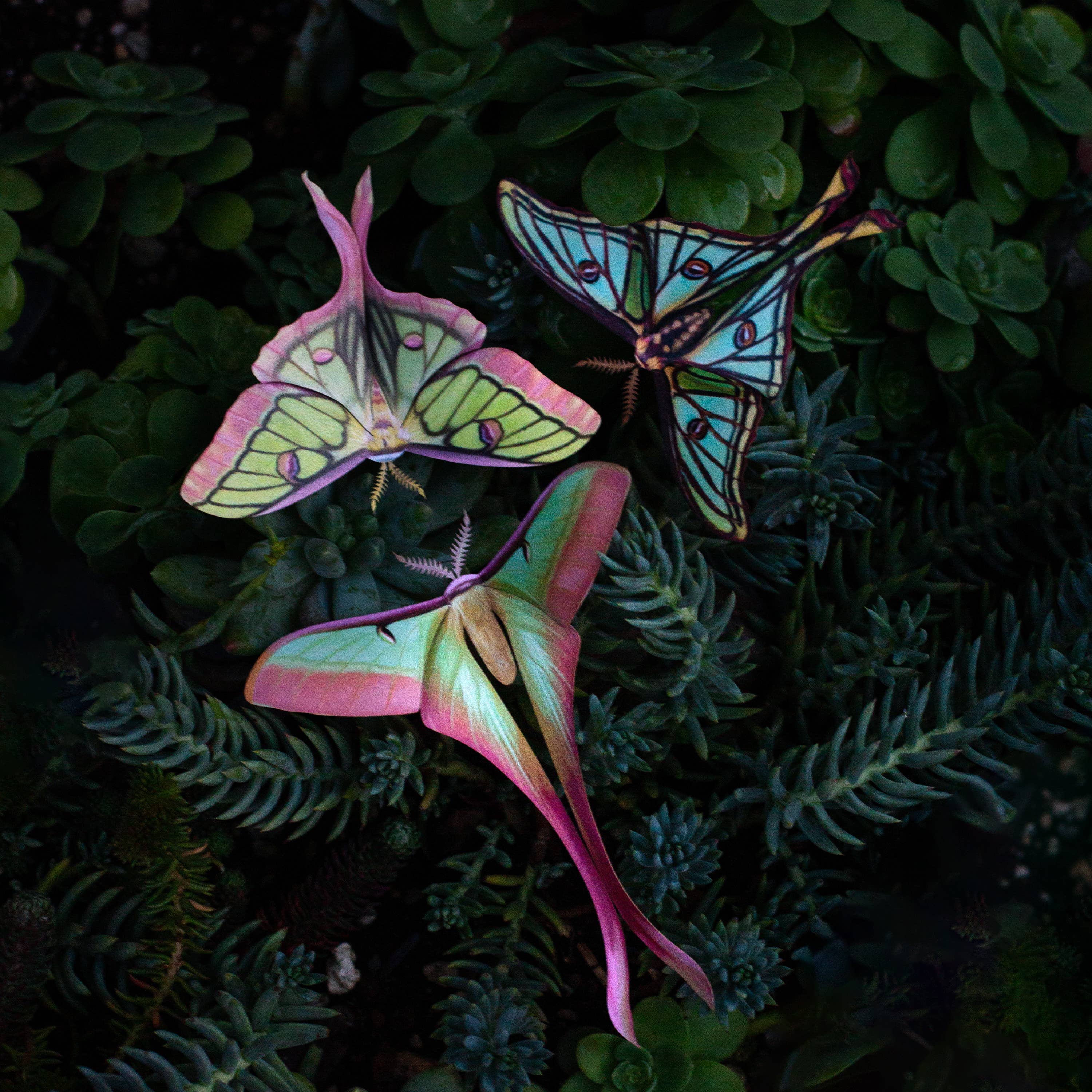 Wholesale 'Moonboorn' Luna Moth Set for your store - Faire