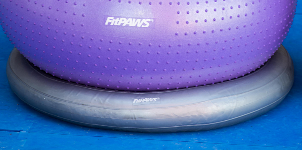 FitPAWS wholesale products