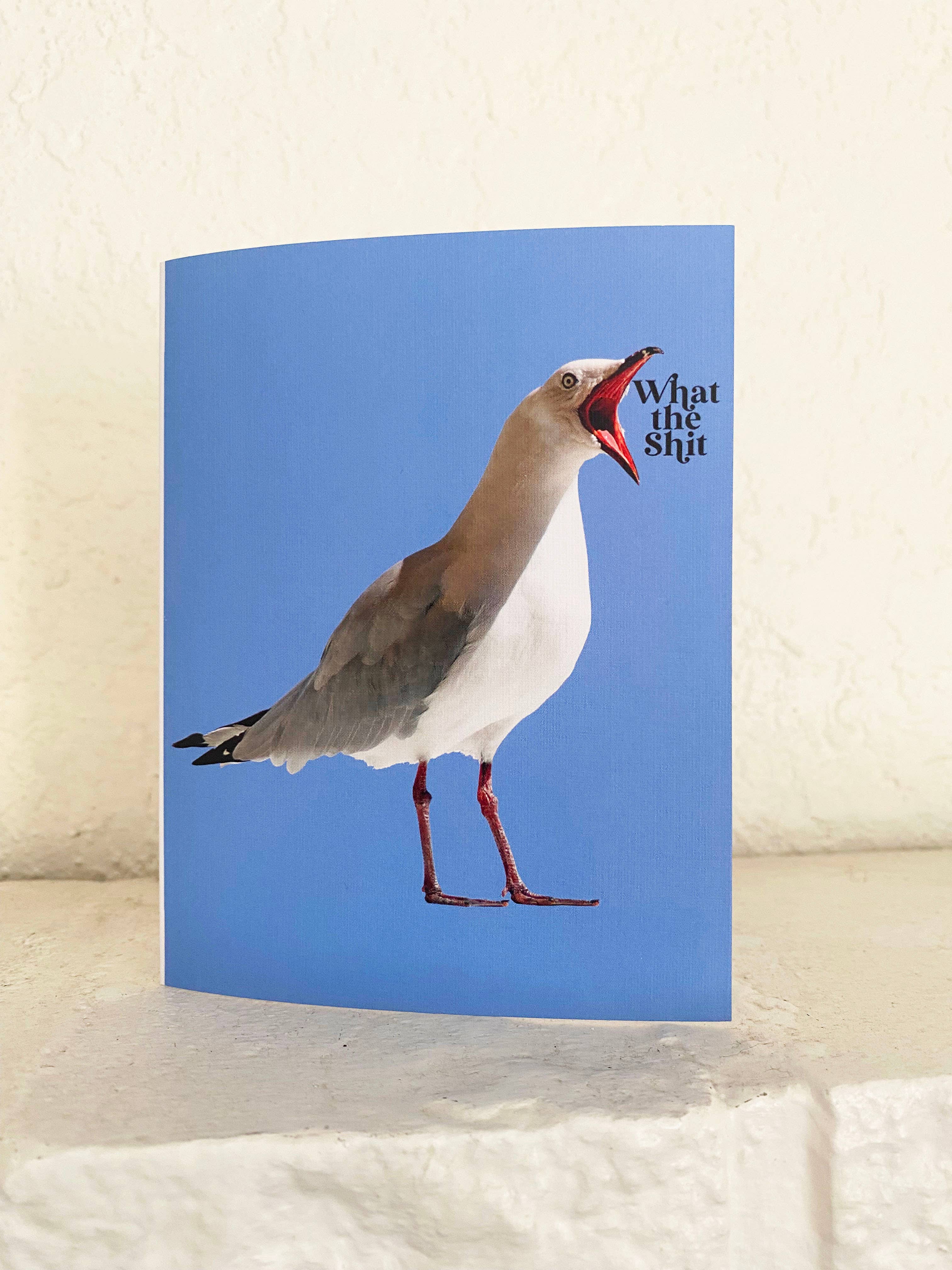 Wholesale What the Shit Funny Seagull Card - Sympathy Birthday for your ...