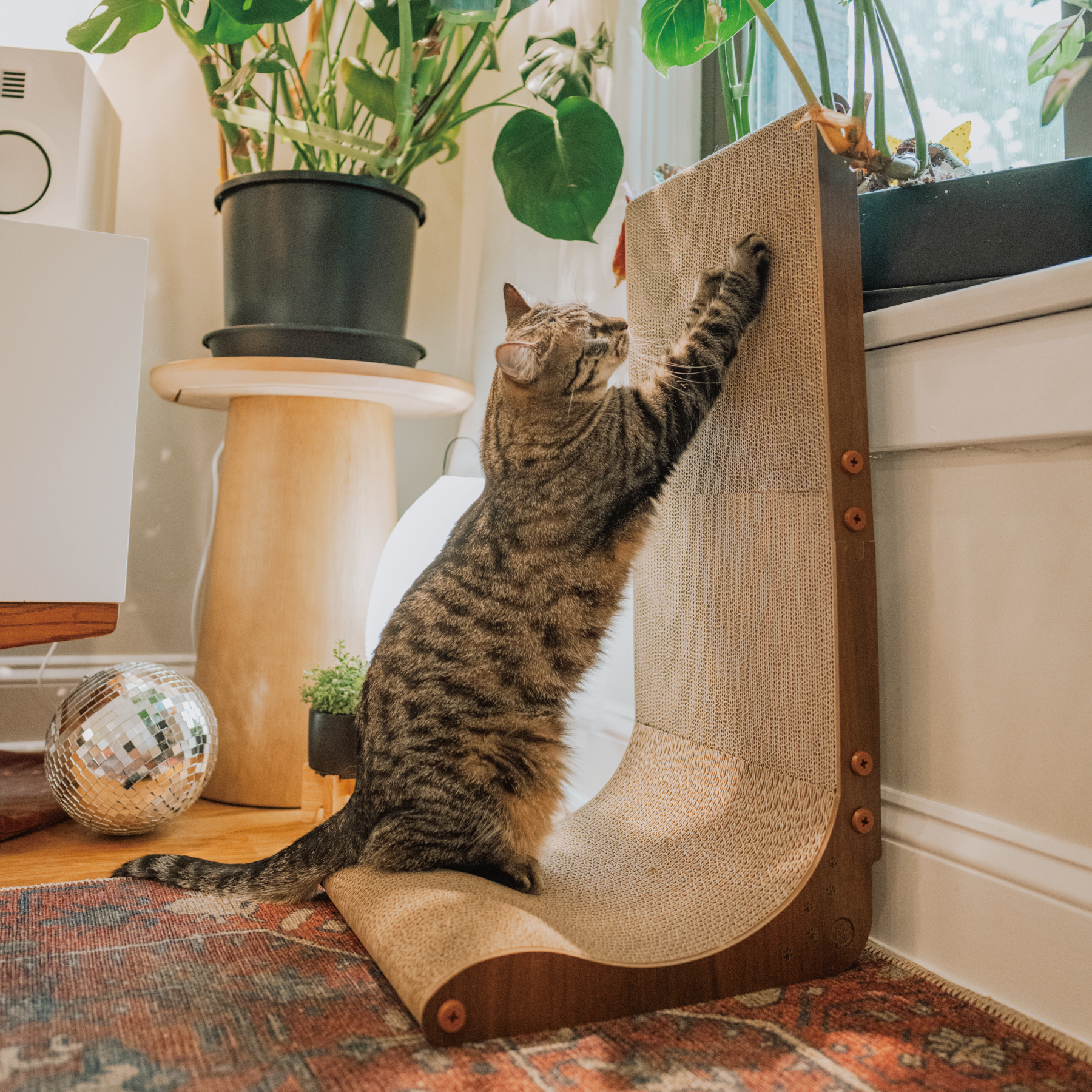 Wholesale Premium Comfort Scatcher Wall for your store - Faire