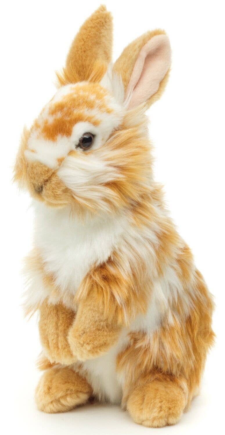 Wholesale Lionhead rabbit, stand up. (gold) - cuddly/plush toy for your ...