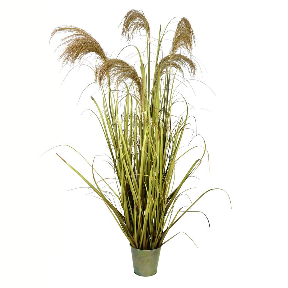 Vickerman wholesale products
