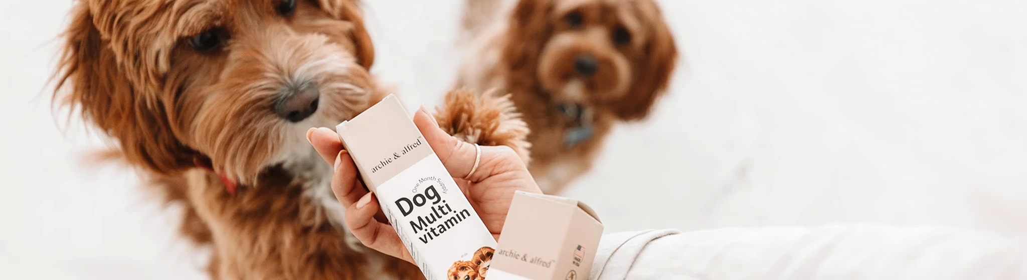 archie & alfred Wholesale Products | Buy with Free Returns on Faire.com