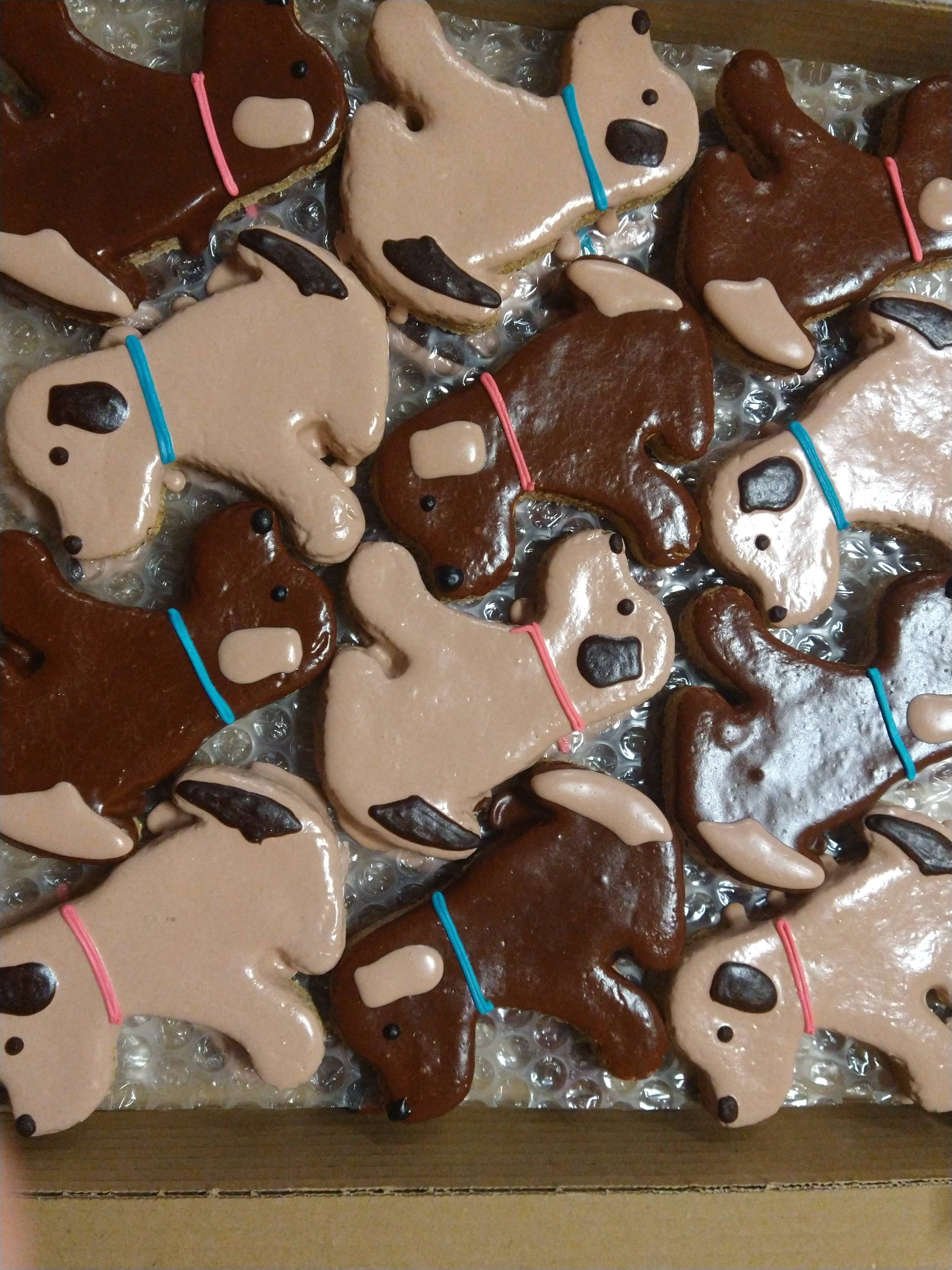 Wholesale Carob and light dogs with pink/blue collars for your store ...