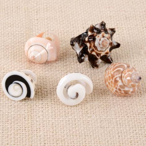 Purchase Wholesale sea shells. Free Returns & Net 60 Terms on Faire