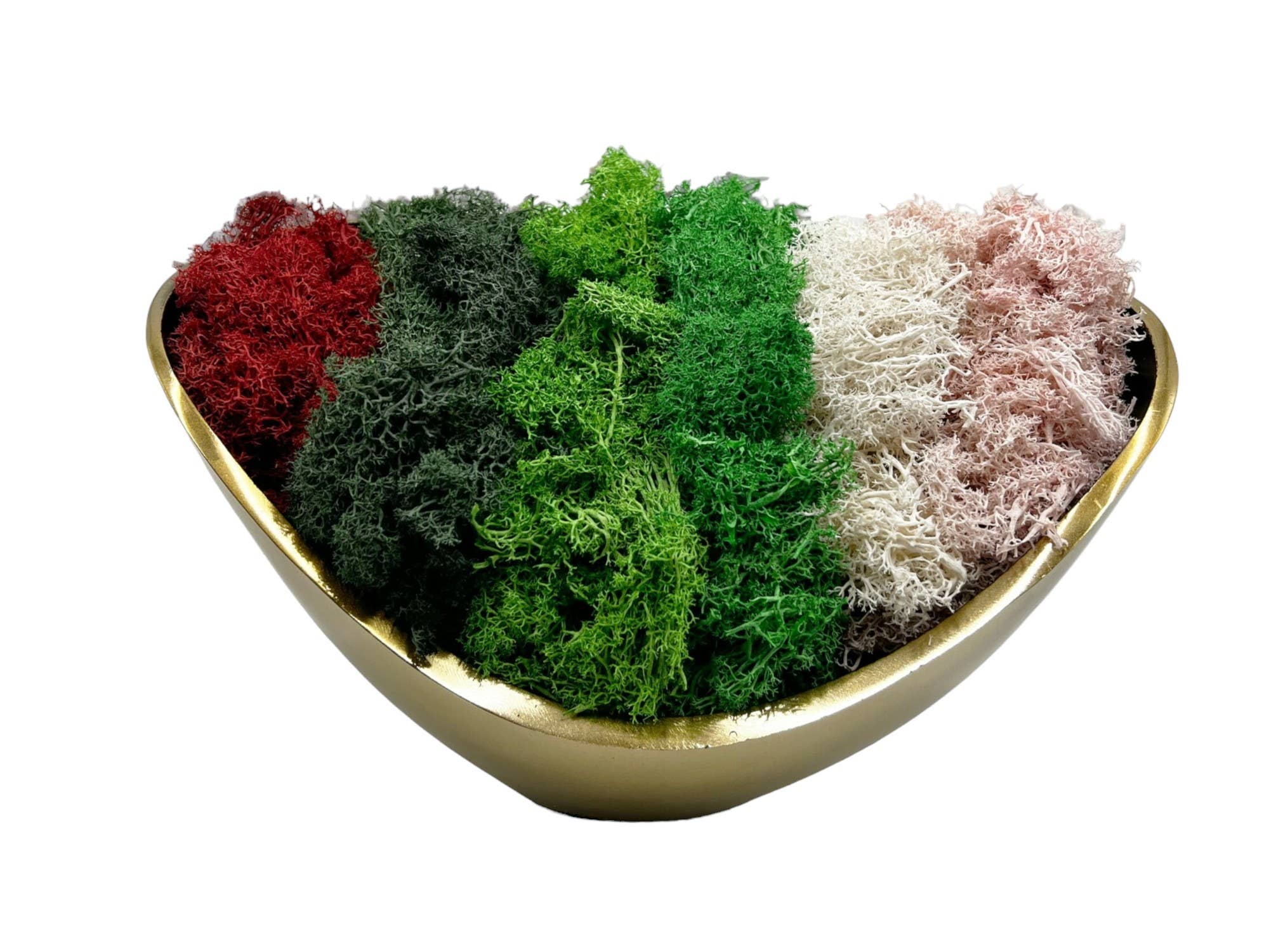 Wholesale preserved moss for your store