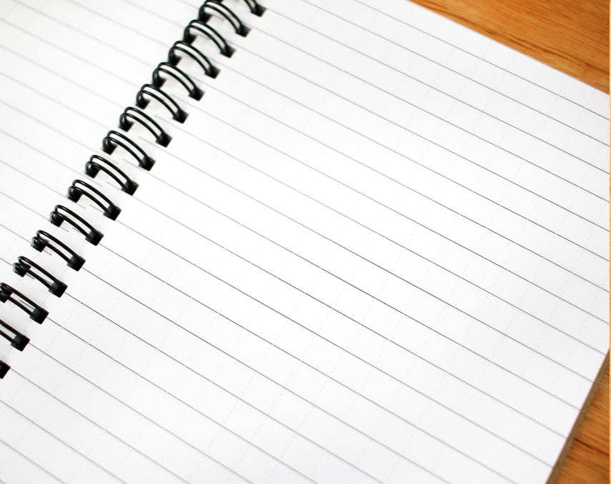 Wholesale Snake - Notebook for your store - Faire