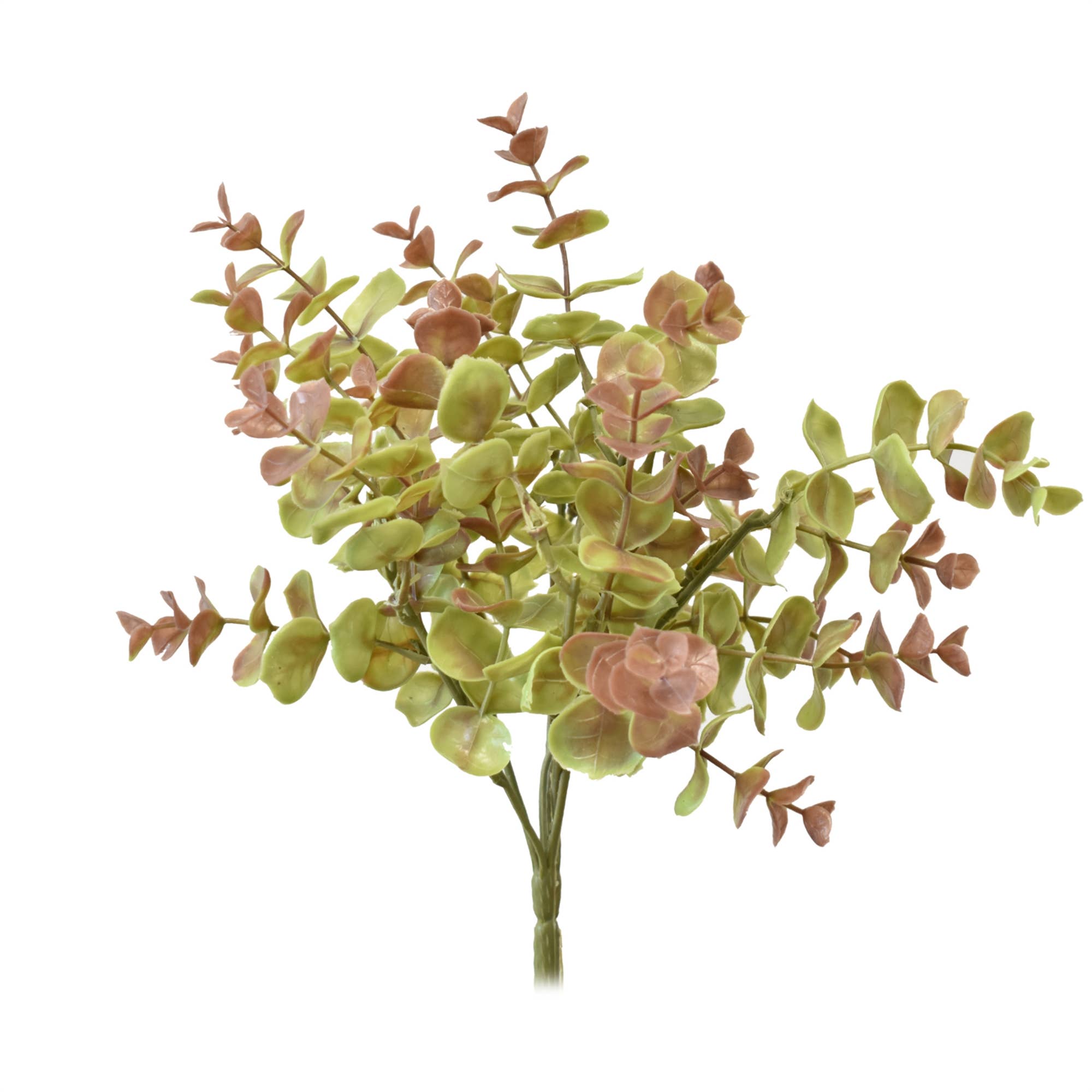 David Christopher's Collection Wholesale Products | Buy with Free ...