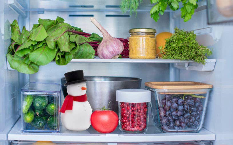 Peleg Design wholesale products