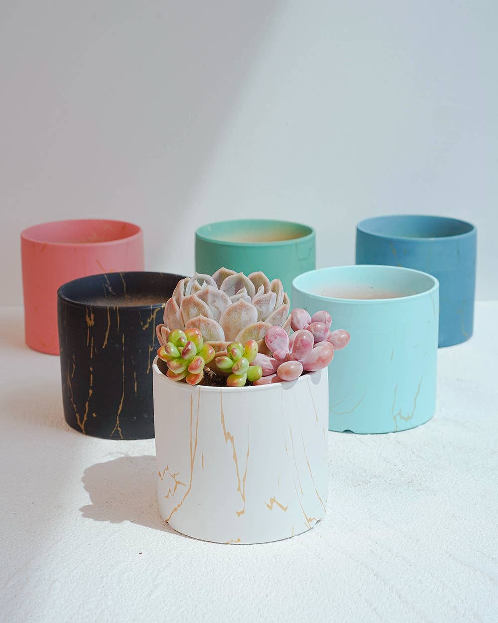 Springer Décor wholesale products