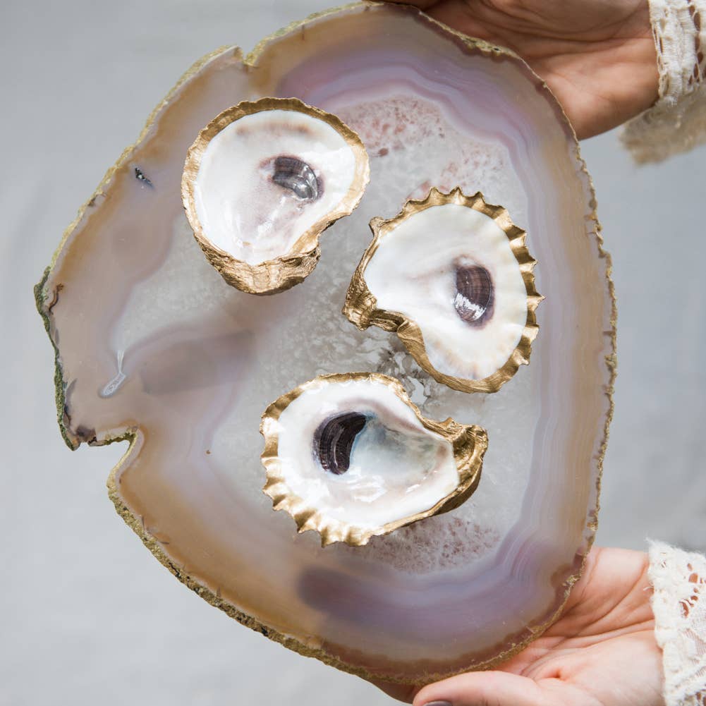 Wholesale Oyster Jewelry Dish for your store - Faire