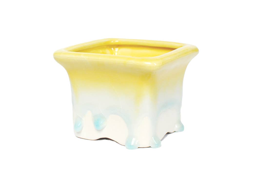 Springer Décor wholesale products