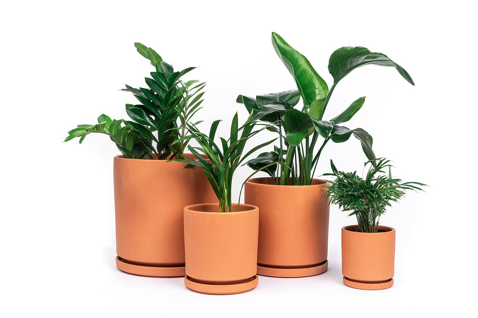 10.25" Terra-Cotta Cylinder Pots with Water Saucers | Faire.com