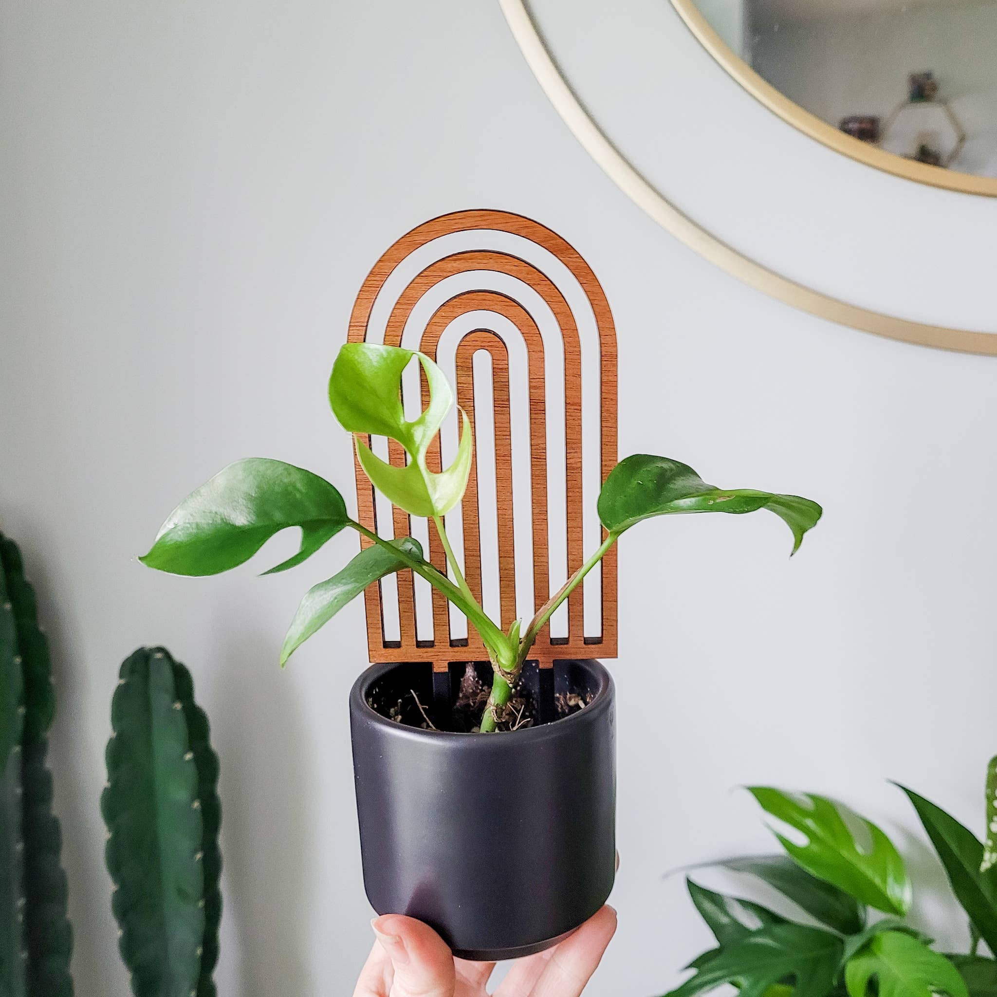 Wholesale Wooden Rainbow Trellis - for Indoor Plants (2 Sizes) for your ...