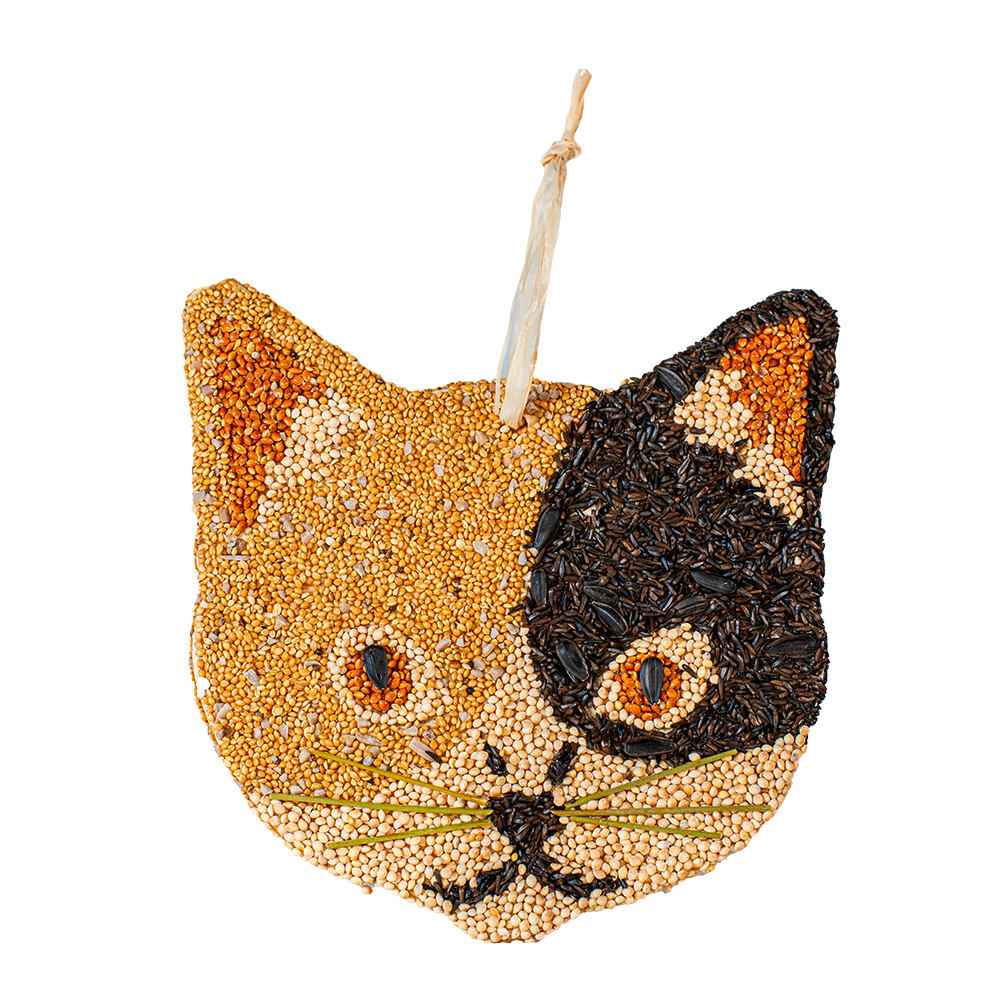 Mr Bird wholesale products